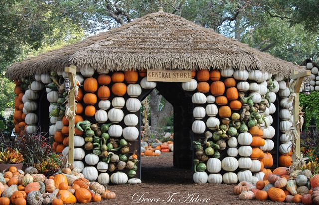 Friday Field Trip Pumpkin Paradise - Decor To Adore